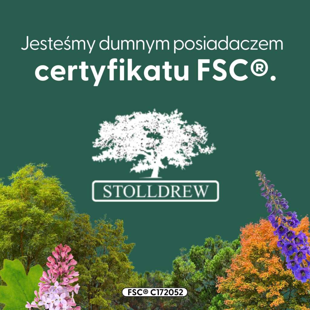 Świętuj z nami podczas Tygodnia Lasów FSC® 2022 - StollDrew