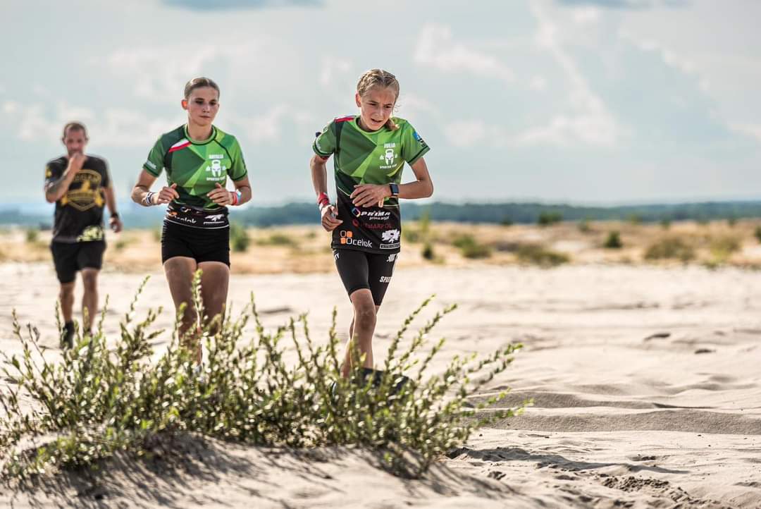 Artykuły - StollDrew